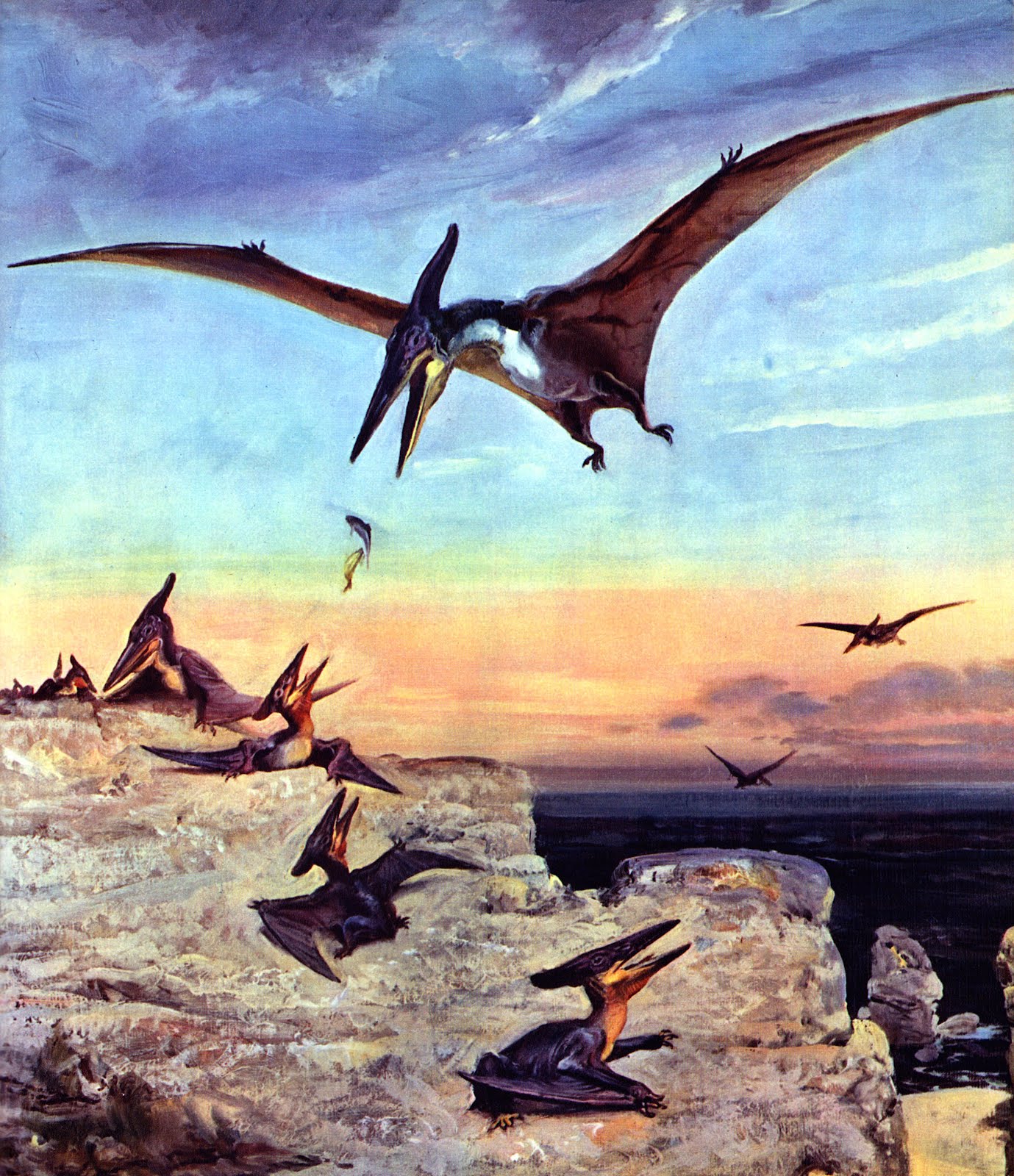 Neat Stuff Blog: Flying Reptiles