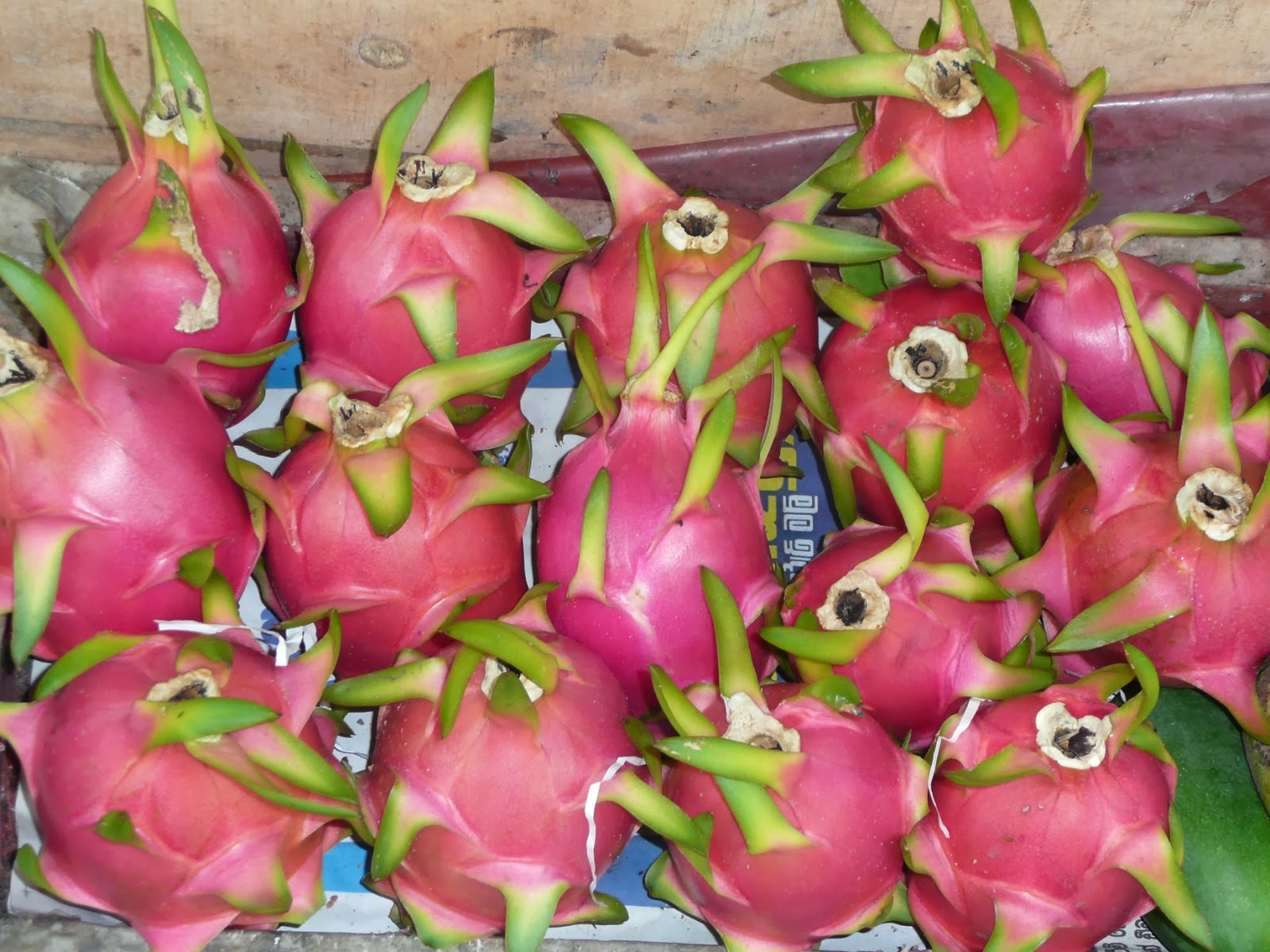 Mutterings of a Mid-Aged Mutt: Sugared and Spiced in Sri Lanka!