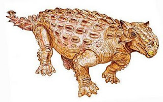 Los animales en la prehistoria: Animales prehistóricos con la letra D