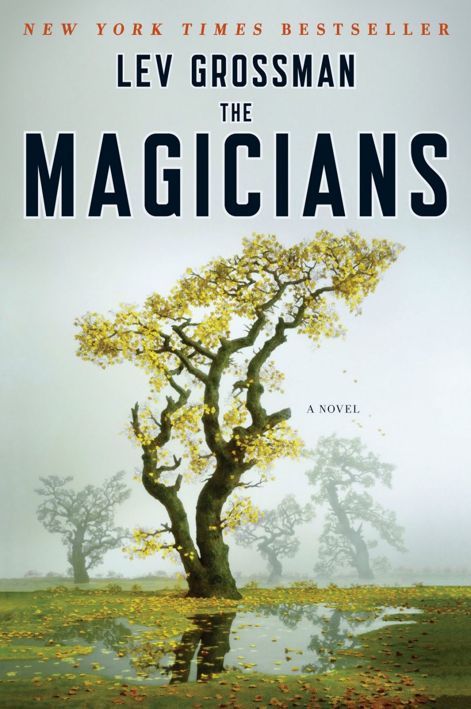The United Federation of Charles: The Magicians review