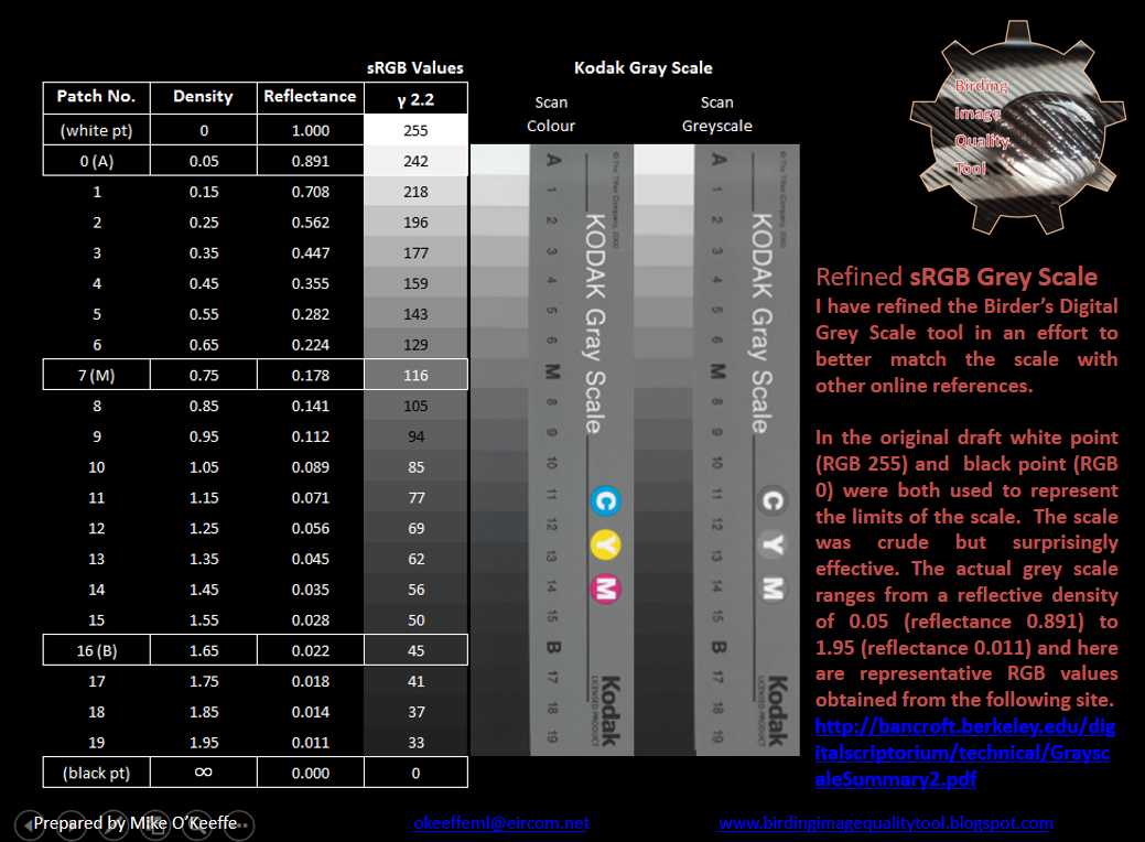 Birding Image Quality Tool: Field Marks - Grey Scales and Gulls (Part 4)