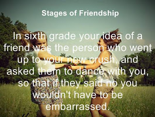 FORMING FRIENDSHIPS AND SOCIAL RELATIONSHIPS: FRIENDSHIP IN ADOLESCENCE