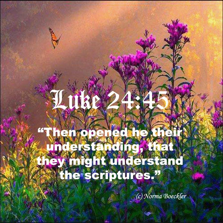 Ichabod, The Glory Has Departed: ELDONA Leads the Views for the Week ...