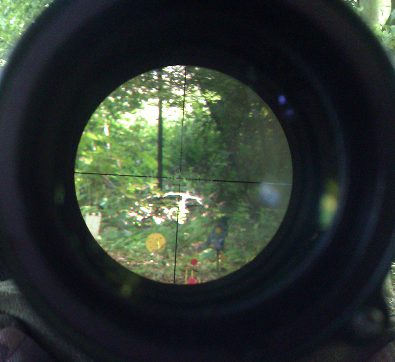 AIR RIFLES AND SHOOTING: BSA HORNET .22 PCP REVIEW