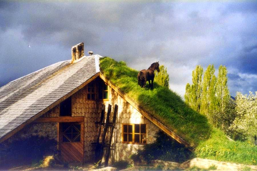 Mail2Day: Go Green | Traditional Grass Roofs of Norway (21 pics)
