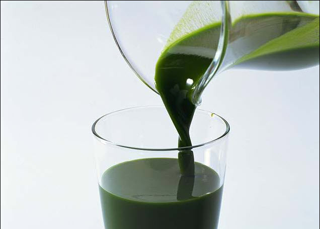 Minuman Klorofil – Maklon Minuman Serbuk Fungsional