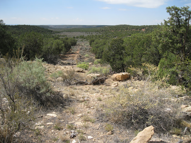 Four Corners Hikes-Canyons of the Ancients: Negro Canyon near NW ...