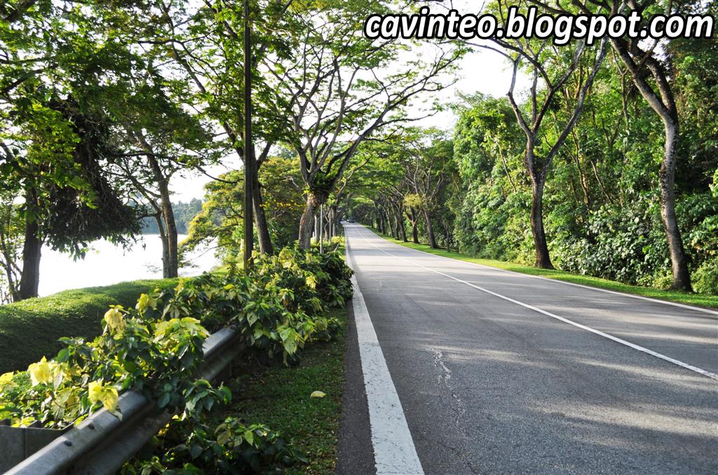 Entree Kibbles: A Walk Along Old Mandai Road