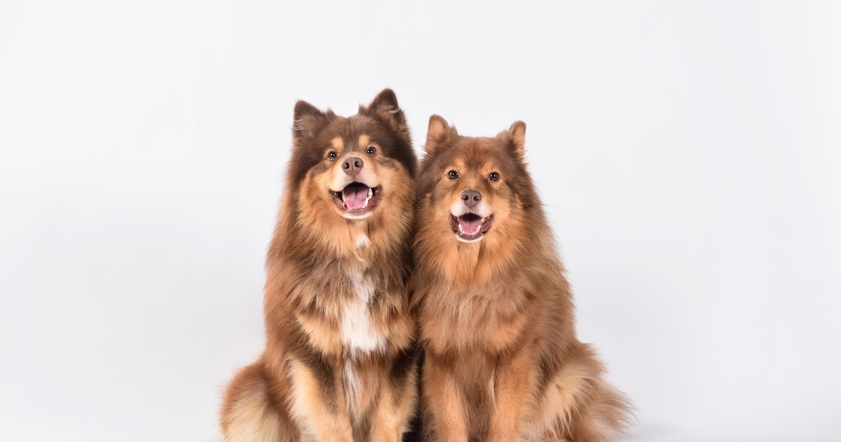 Luonnonlapsi: Huhuu?