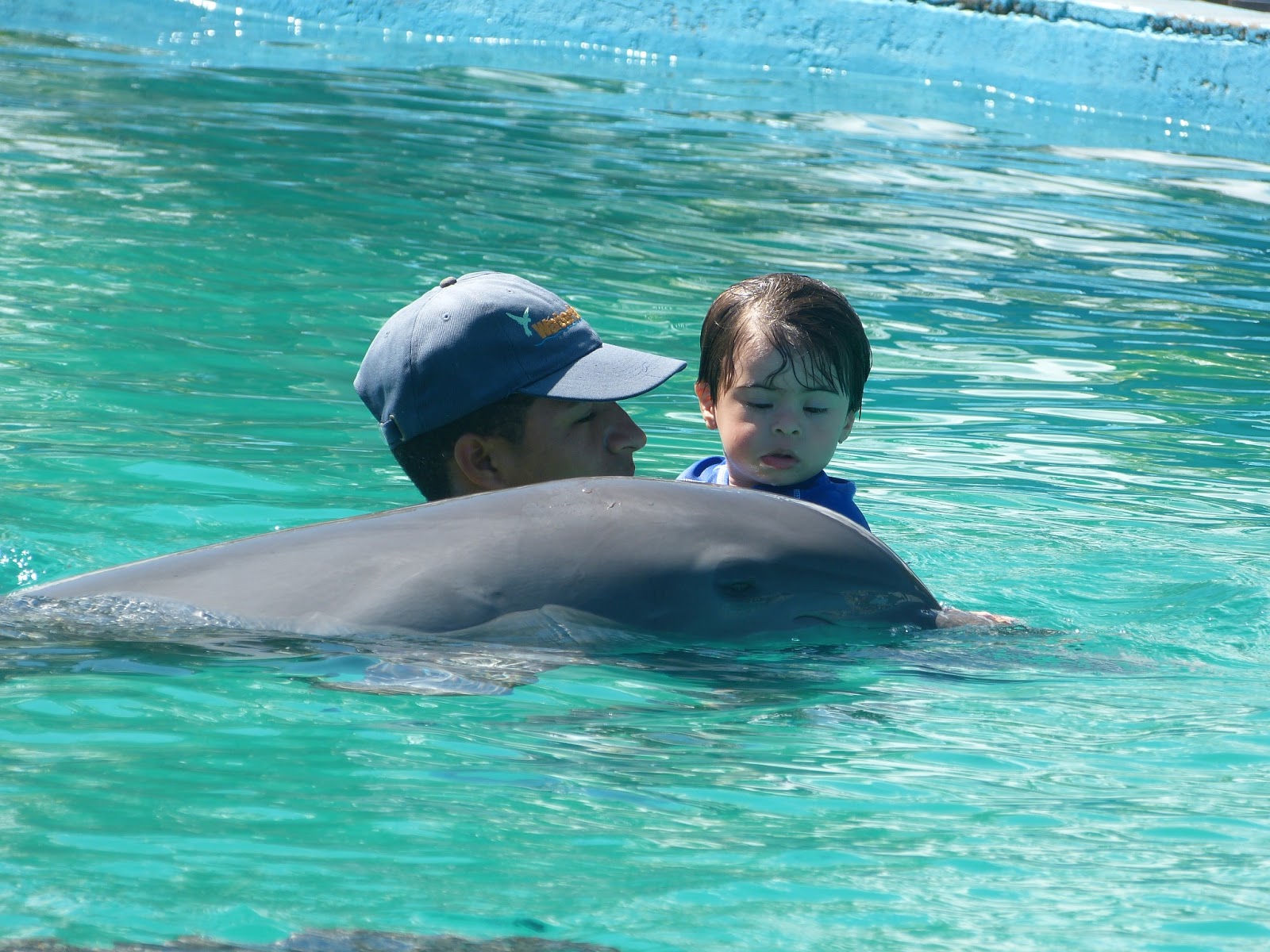 Rodolfo David: Rodolfo y su Primera Terapia Asistida con Delfines