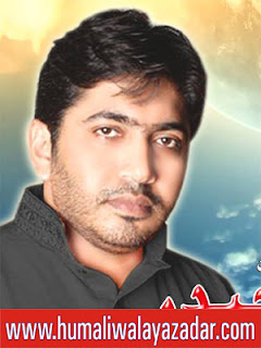 Shuja Haider Nohay 2012 to 2020