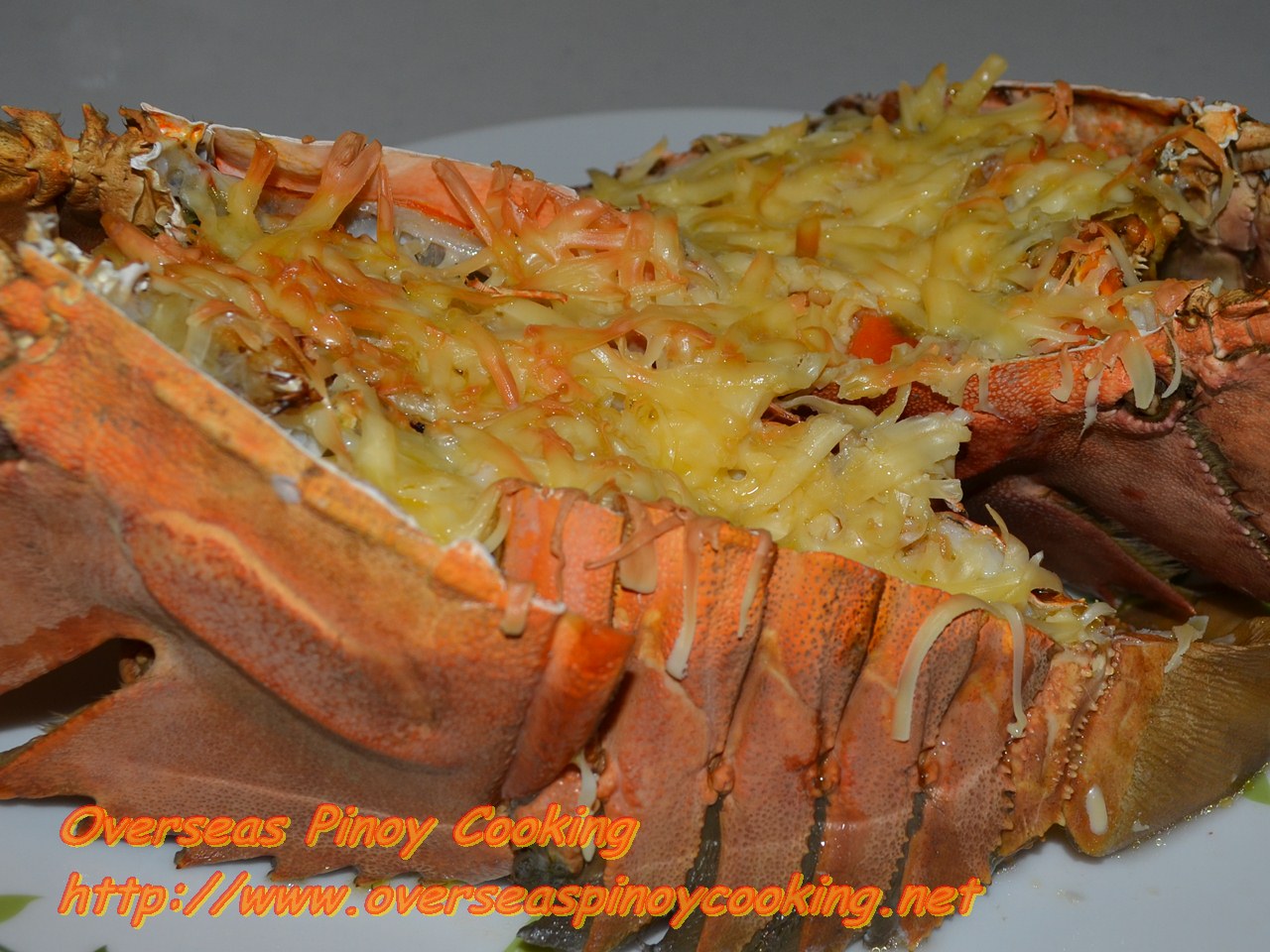 Slipper Lobster Cooked