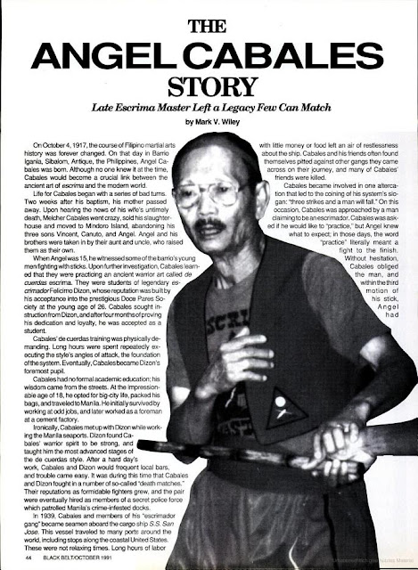 WSEF & Defensive Combat Initiatives Blog: The Endless Journey by ...