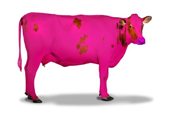 Estou Procurando o que Fazer...: "É bébé, mamar na vaca todo mundo quer..."