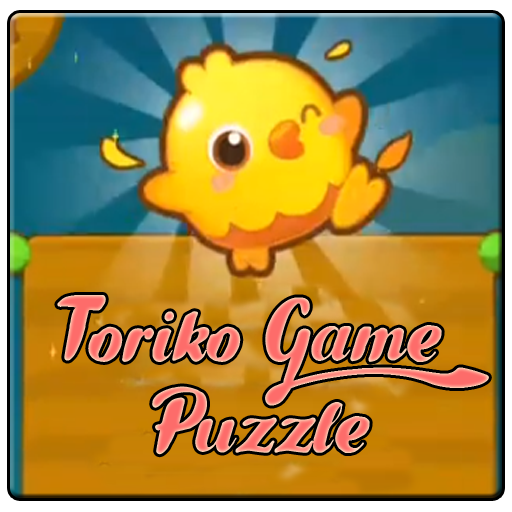TORIKO GAME PUZZLE GUIDE
