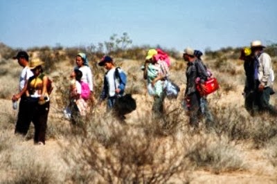 La Palabra y el Hombre: De coyotes, polleros y cabilderos