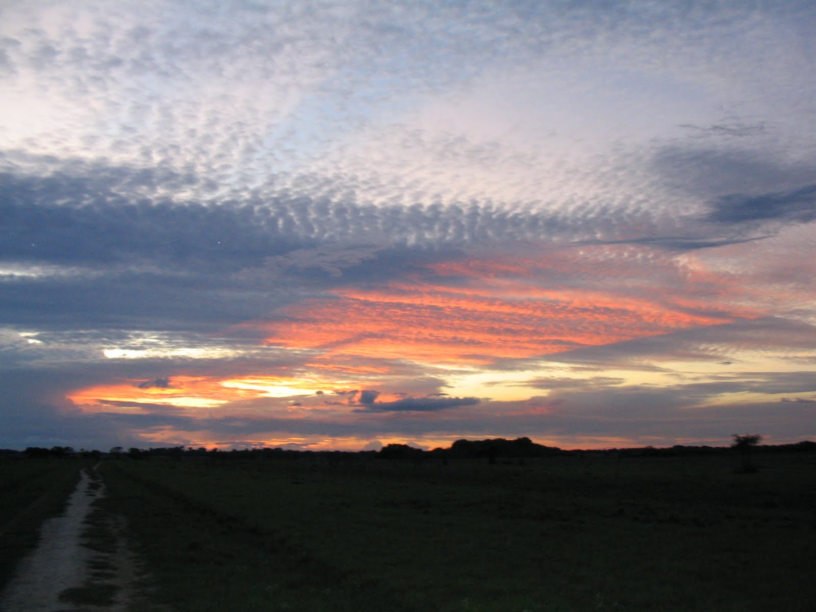 LLANOS DE COLOMBIA Y VENEZUELA: FOTOGRAFIAS DE LA LLANURA COLOMBIANA