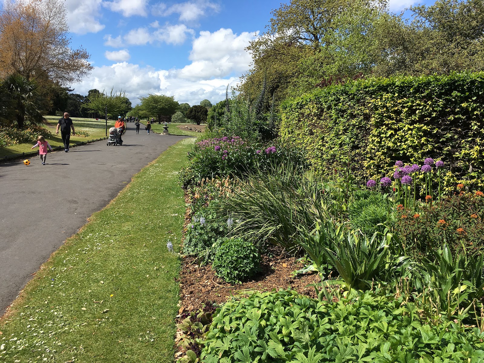 Running Routes: Dublin Phoenix Park Running Route
