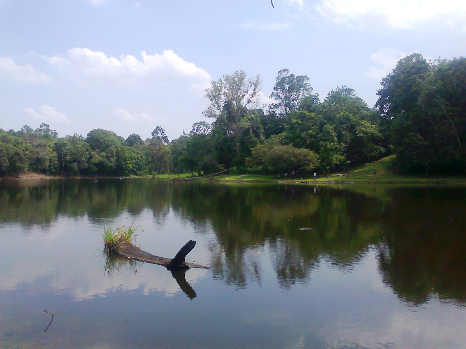 Jalan sukses: Waduk Universitas Riau (University of Riau’s Reservoir ...