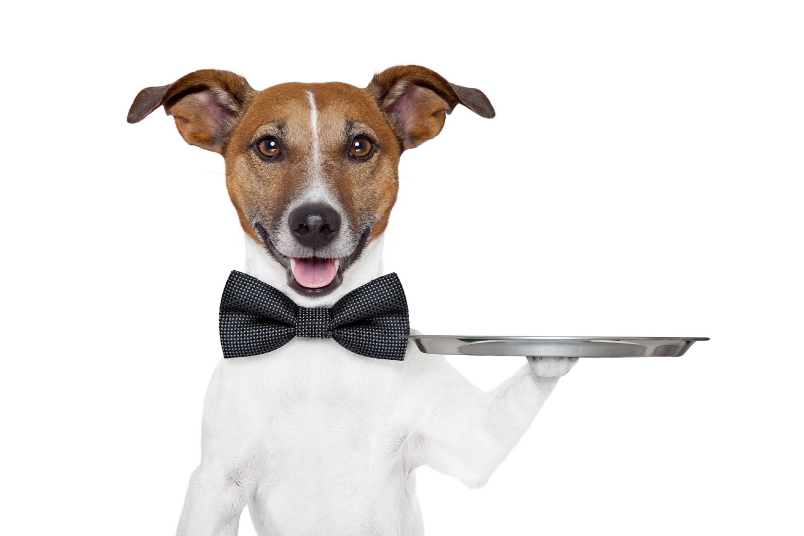 Header Maturity At Your Service