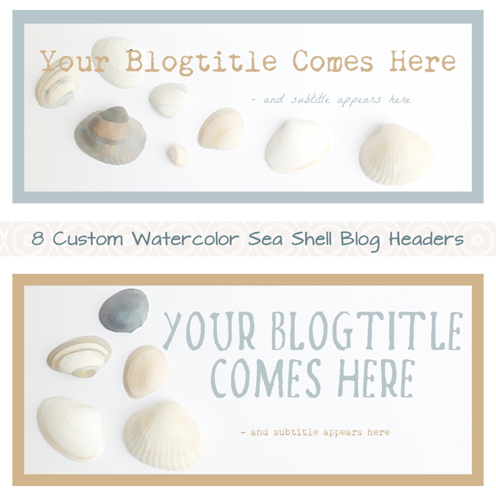 A Sea Shell Collection Matching Blog Headers Icons Banners And Decorations The Dutch Lady