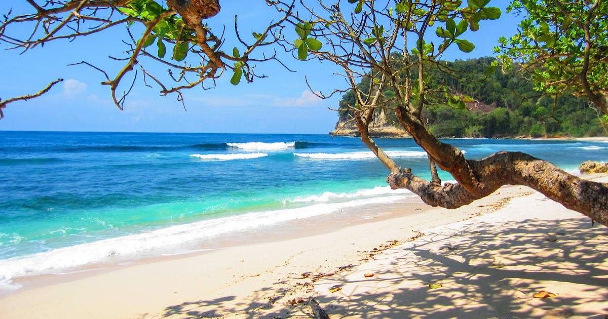 MS: Si preparas un viaje exótico, esto es lo que debes saber