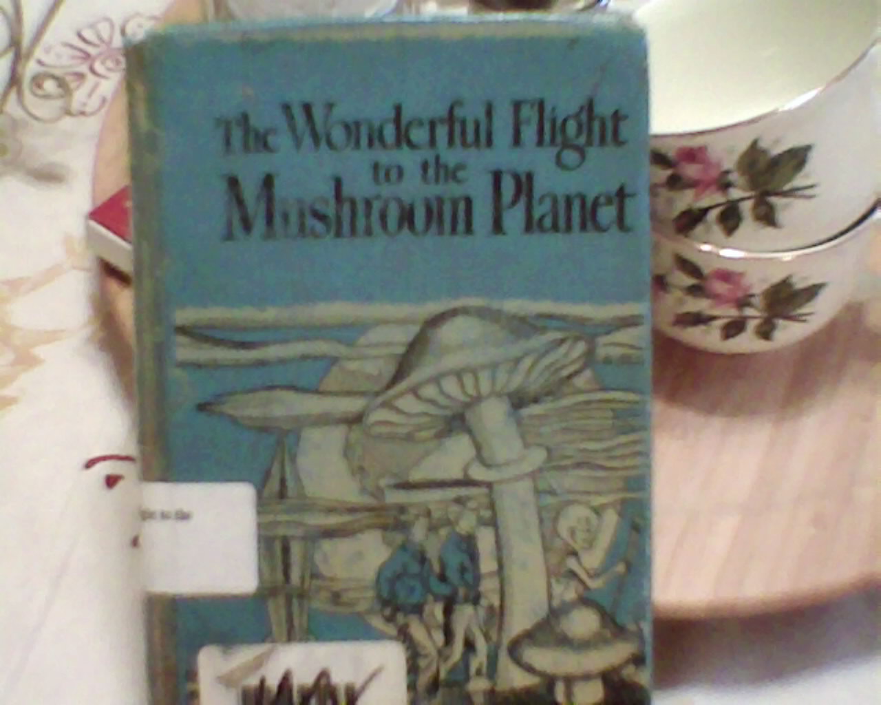 embchicken: The Wonderful Flight to the Mushroom Planet