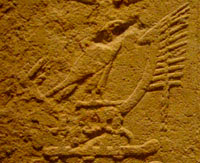 Alien Explorations: Other depictions of the Henu Barque