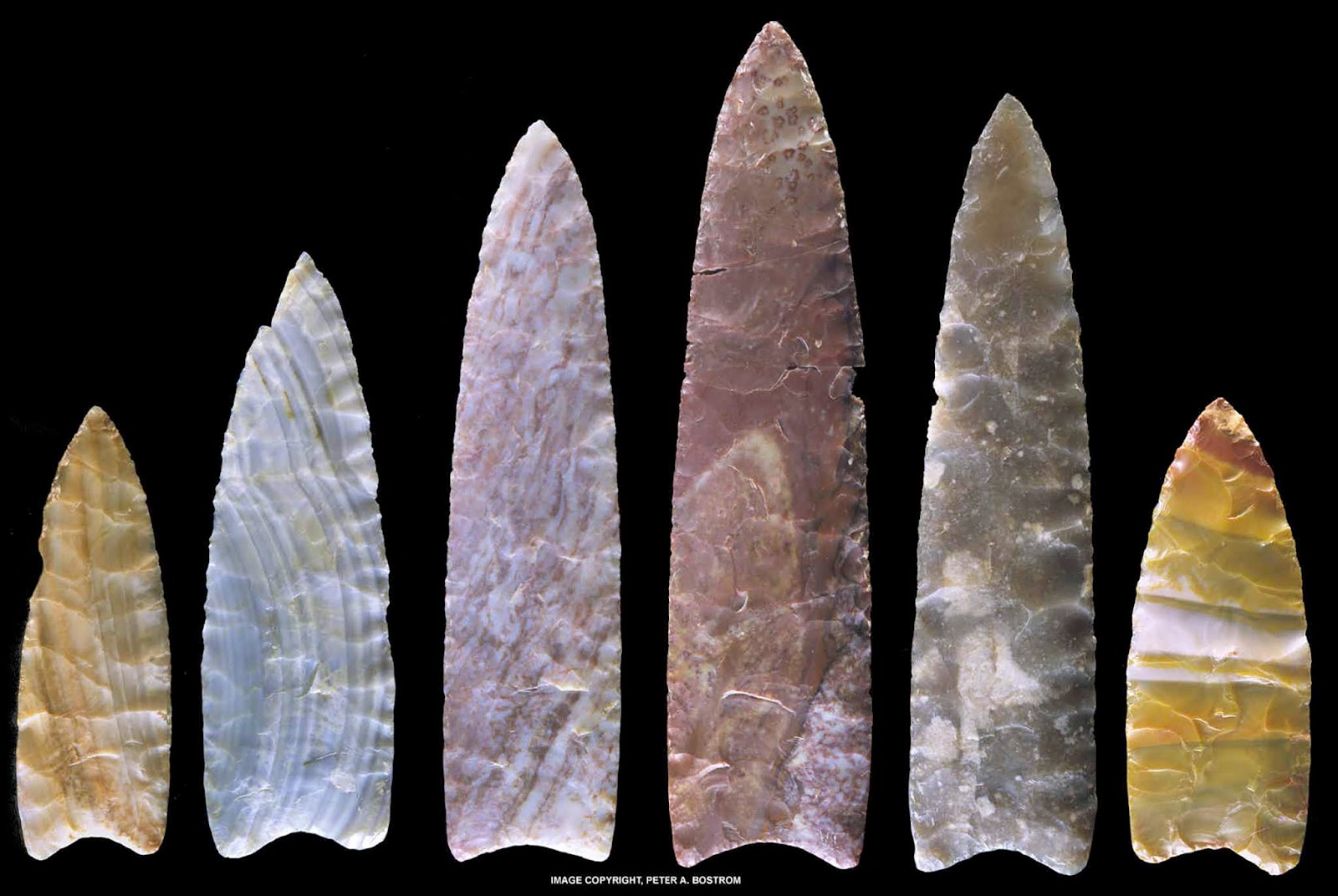 Prose and Passion: the first Americans