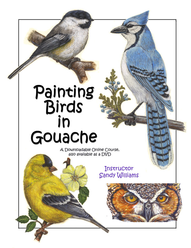 Sketching in Nature: Sandy Williams - Painting Birds in Gouache