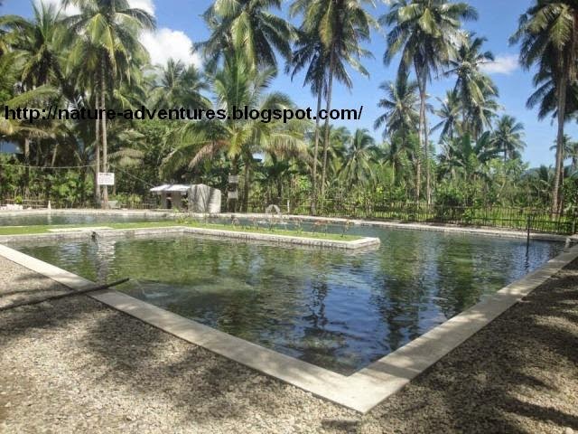 My Life's Adventures: How to get to Maligo Resort