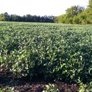 Holy Hill Paradise Home: Erin, WI Washington County Holy Hill Paradise ...