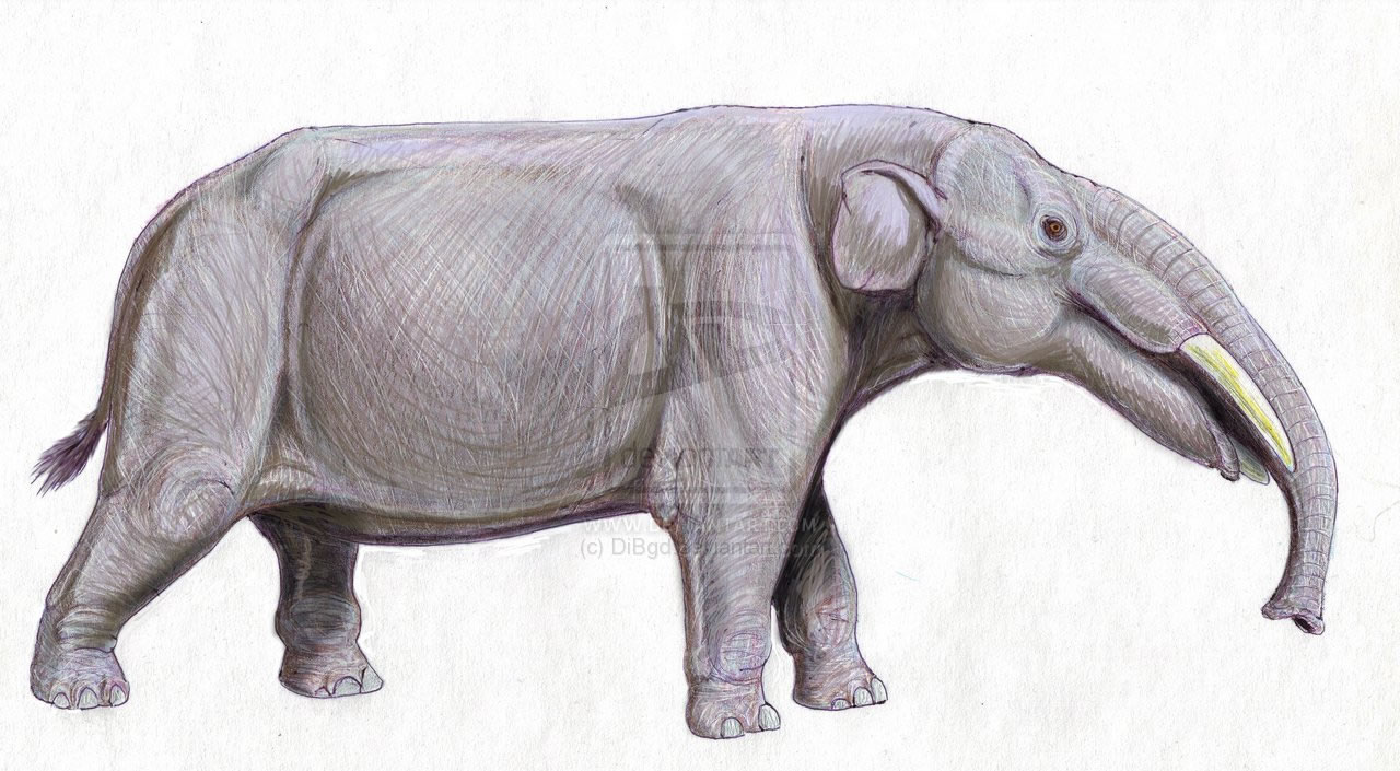 Escenarios prehistóricos: Phiomia