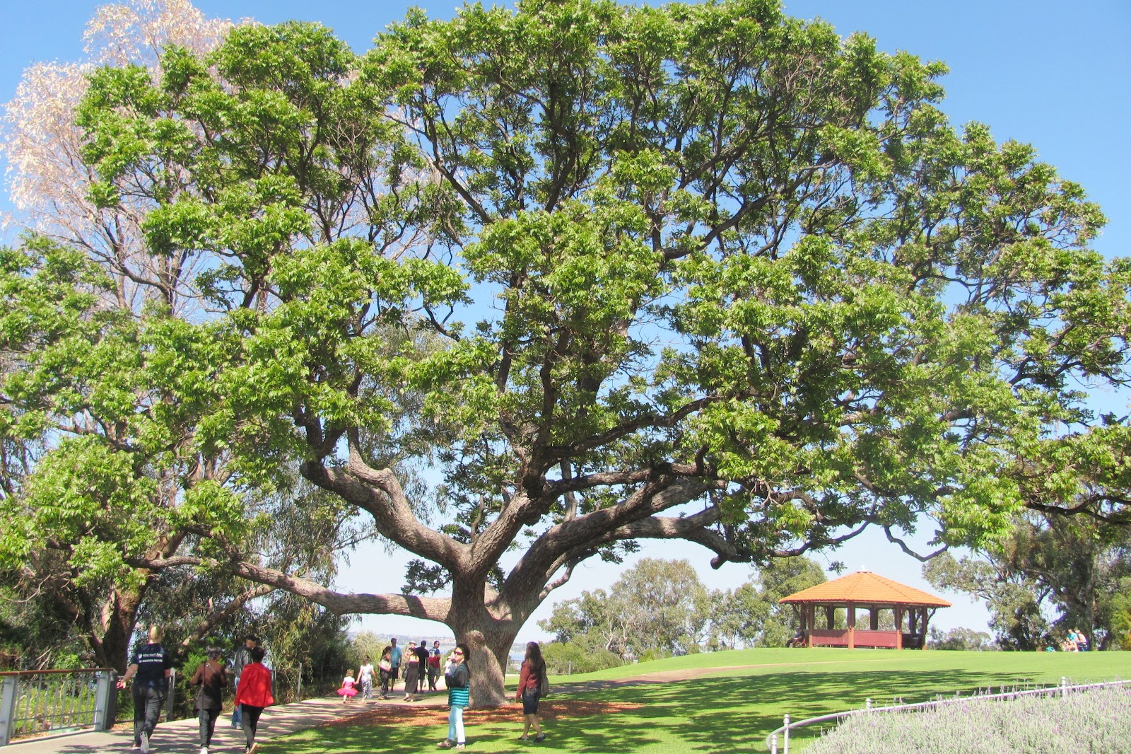 Backpacking travel & Outdoor adventure: 2012 Backpacking to Perth day 9