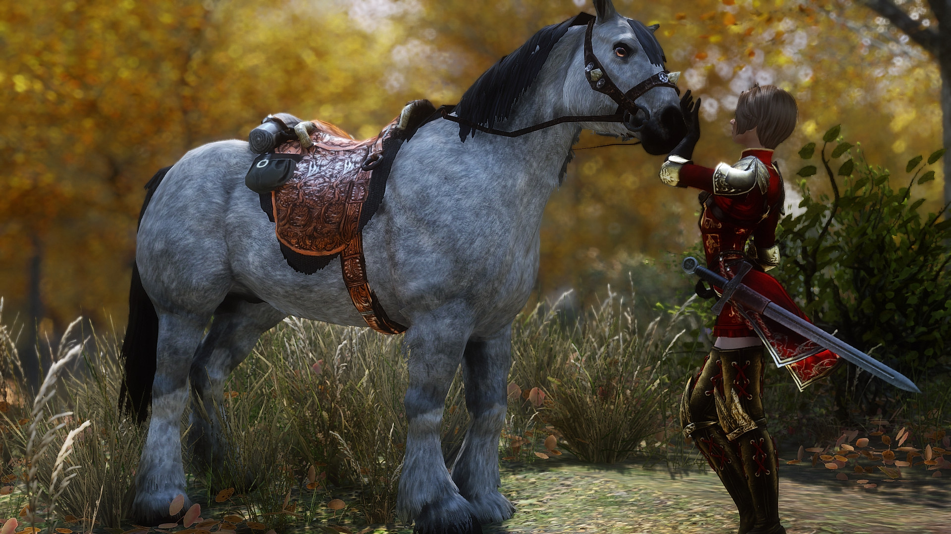 Ritter Armor UUNP (Idye)