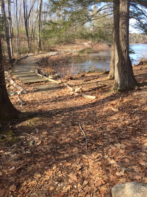 Nature's Classroom 2016: A Walk in the Woods