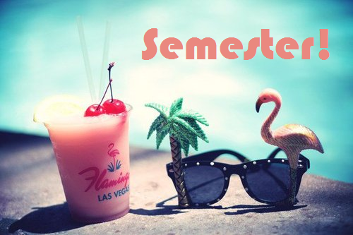 Musik | joachim hollander