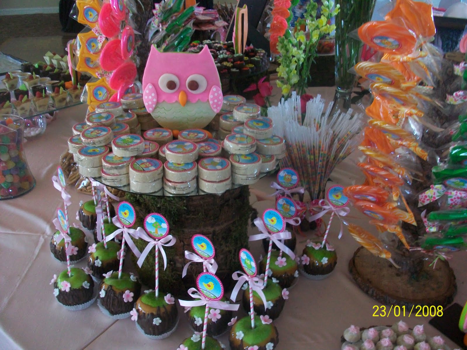 Cherry, Pasteleria Creativa: Baby Shower Buhos y Pajaritos