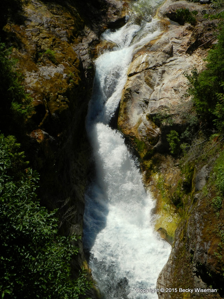 kinexxions: Lava Canyon Trail - August 7th