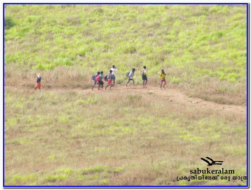 പ്രകൃതിയിലേക്ക് ഒരു യാത്ര (a travel towards NATURE): PULLUMEDU a unique ...