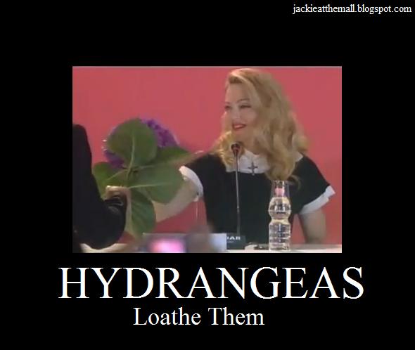 TIL Hydrangea flowers are a naturally occurring pH indicator, turning ...