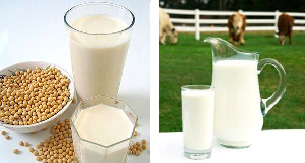 NutriSalud: Soja Vs. Vaca