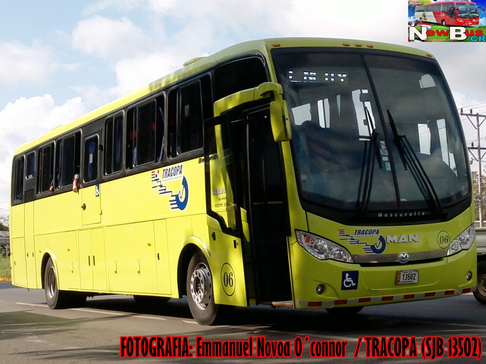 Más que buses: Buses de Costa Rica, variedad en unidades.