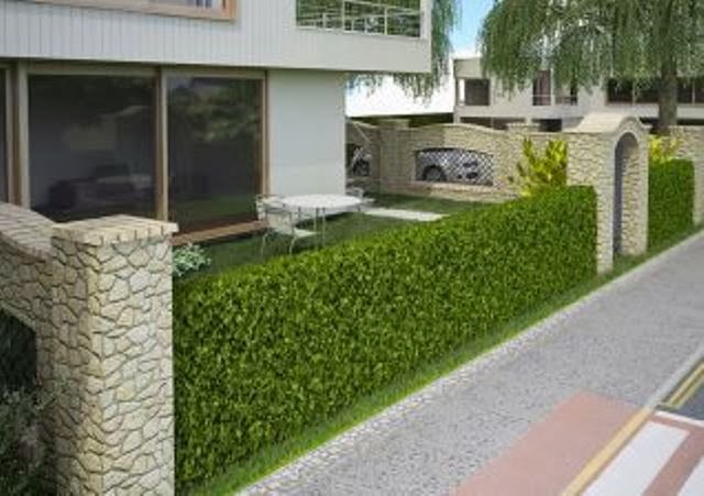 Membuat Pagar Hidup Untuk Rumah Terlihat Indah dan Eksotis