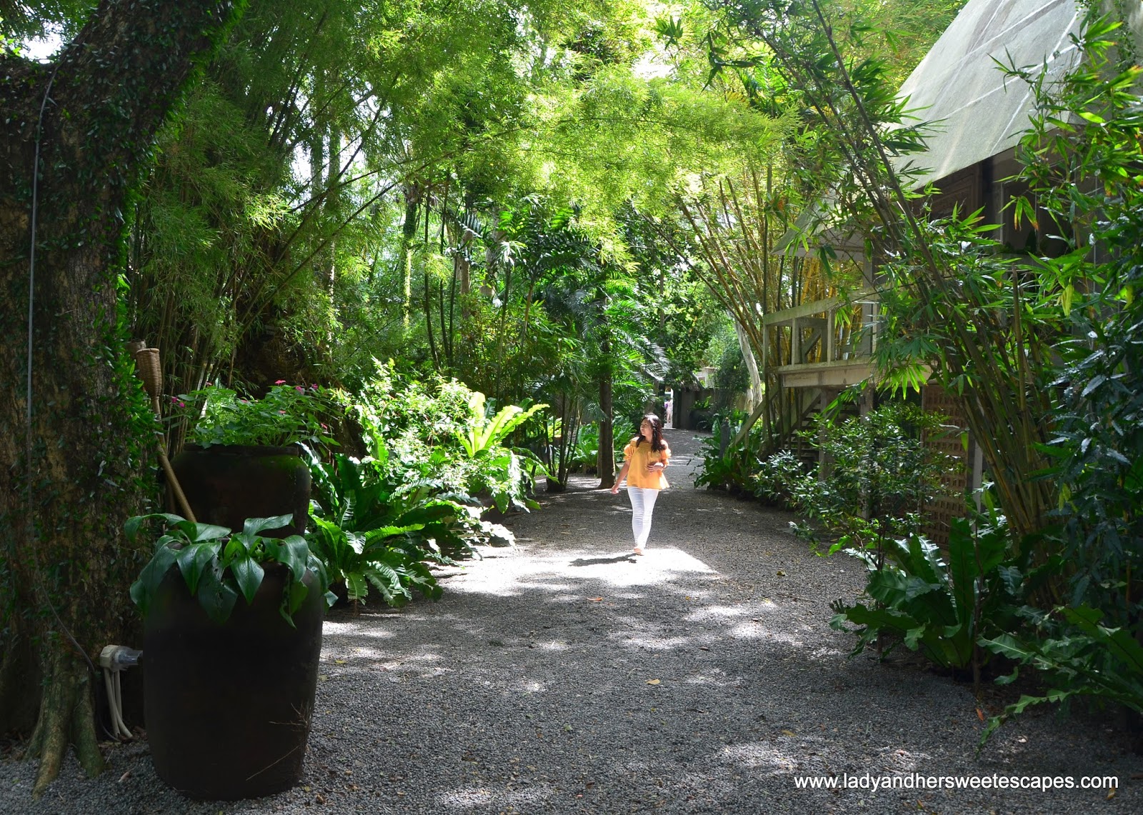 Lunch at Punong Gary's Place in Silay | Lady & her Sweet Escapes