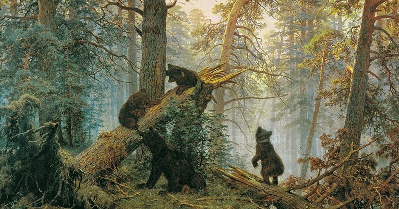 Cuvinte-Sunete-Imagini: Pădurea, pădurea...