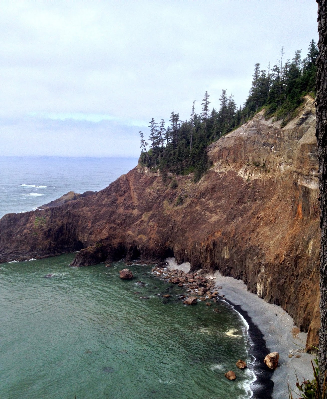 her lovely nest.: a splendid summer - hiking Cape Falcon on the Oregon ...