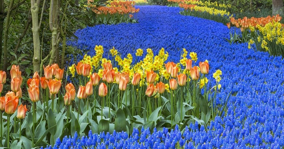 The most beautiful spring destinations in the world ~ Best of Vacations