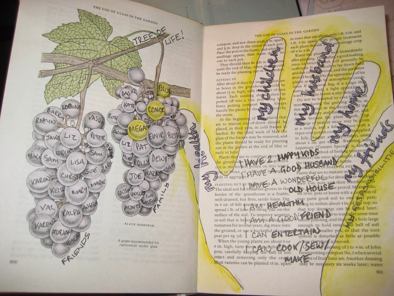 Morwhenna. The Creative Adventurer: Love What You Do Exploration