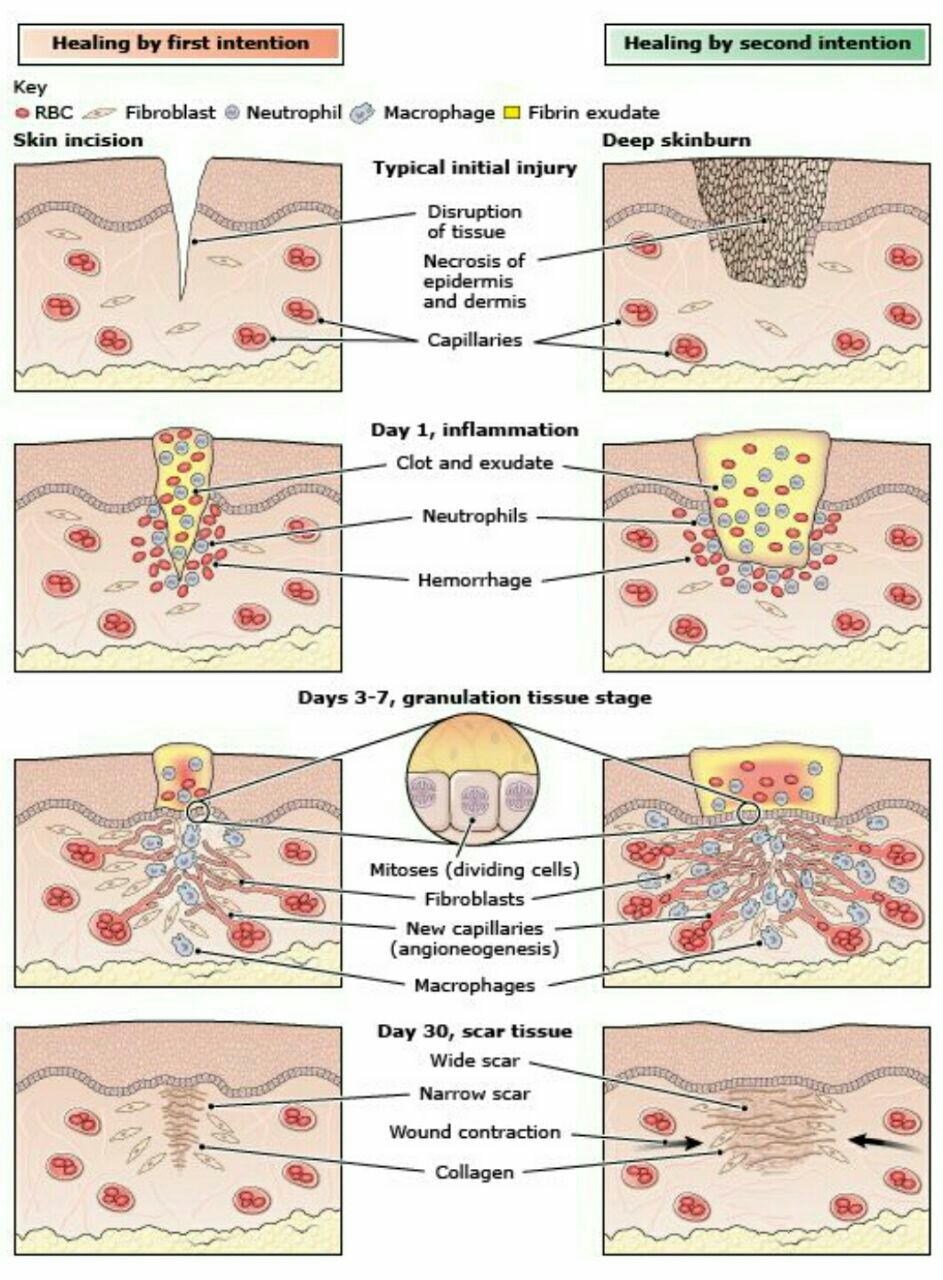 Beauty with suhainaatmk: Maksud healing process